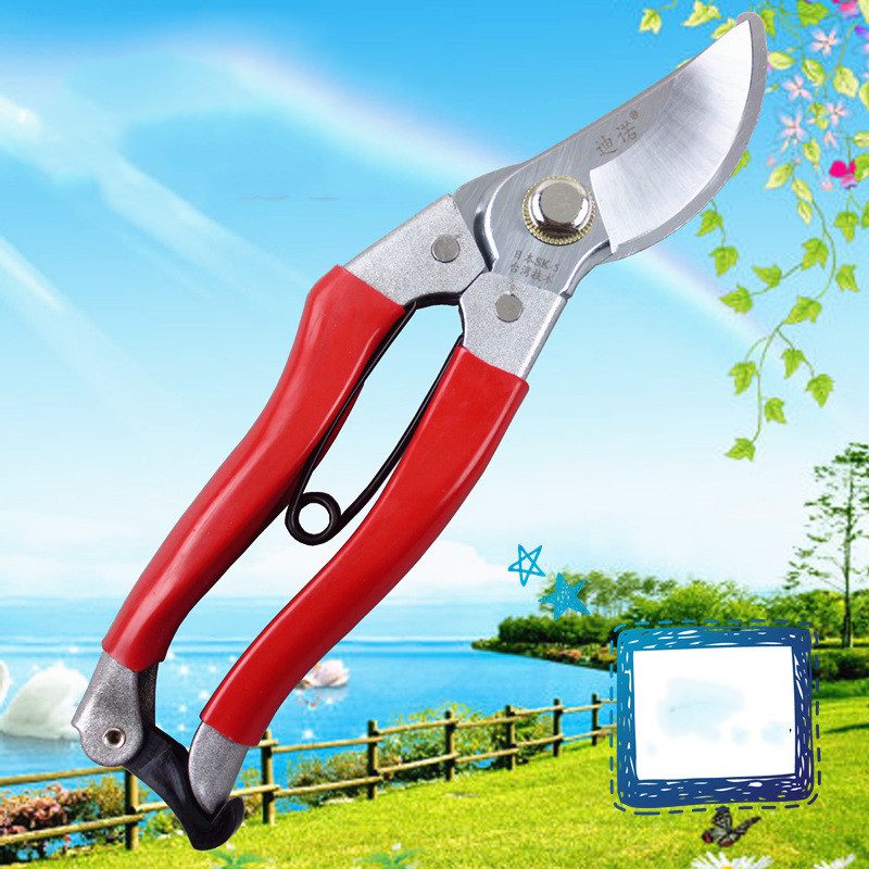 Garden Scissors Manufacturers, Wholesale Garden Scissor Supplier In ...